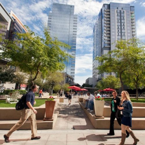 What We Do - RED Development