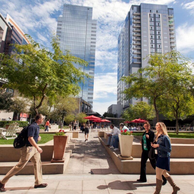 What We Do - RED Development