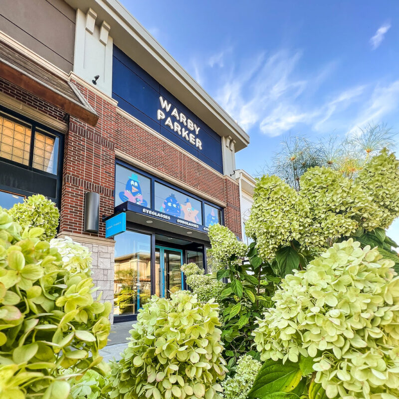 What We Do - RED Development